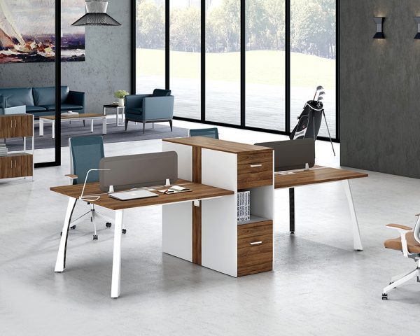 Workstation with best customizable features offered by workspace